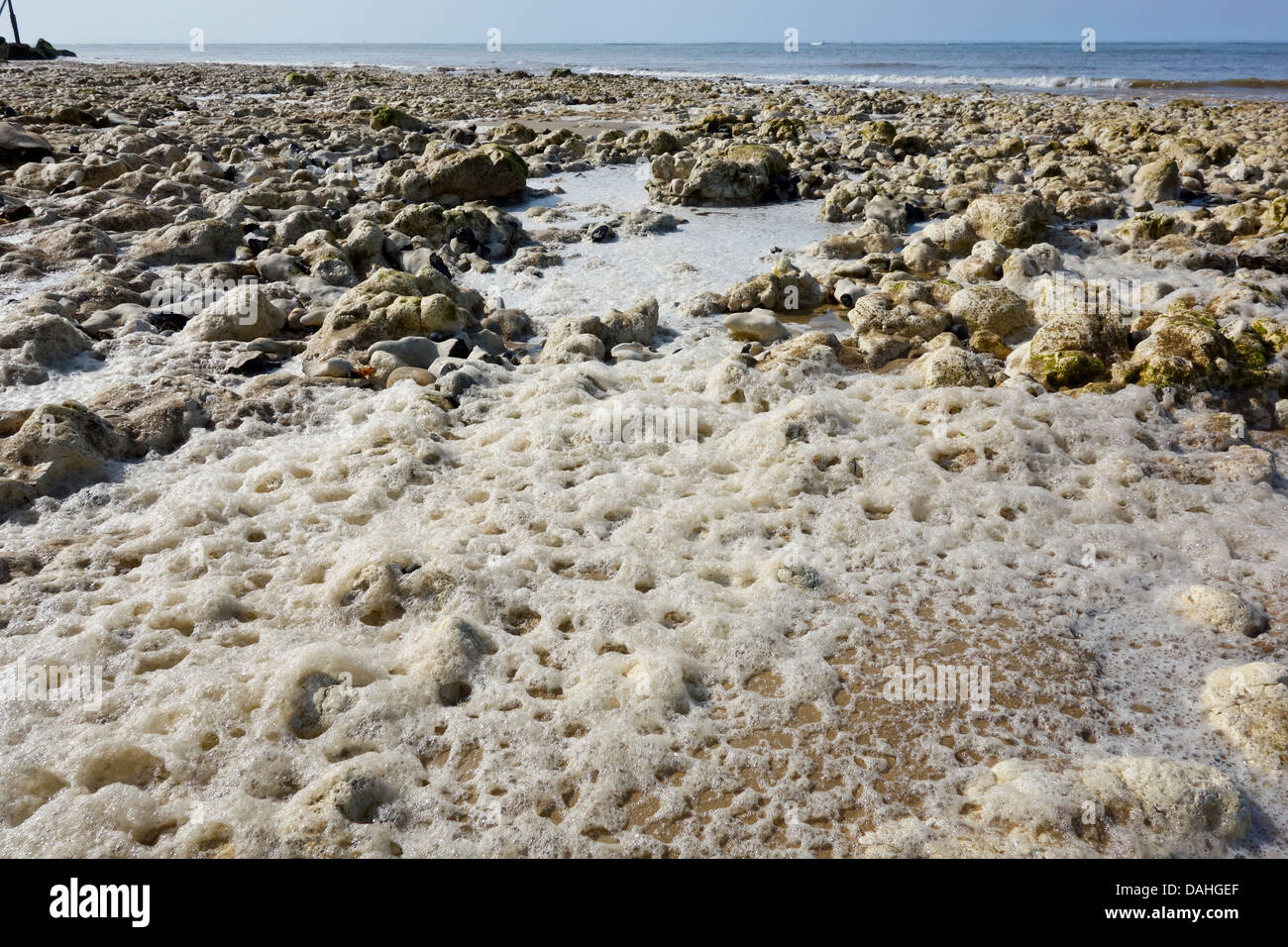 Foam on chalk beach Stock Photo - Alamy