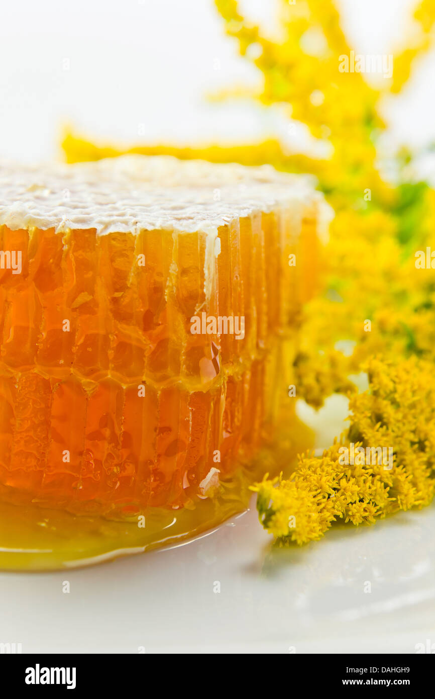 Sweet honeycomb hi-res stock photography and images - Alamy