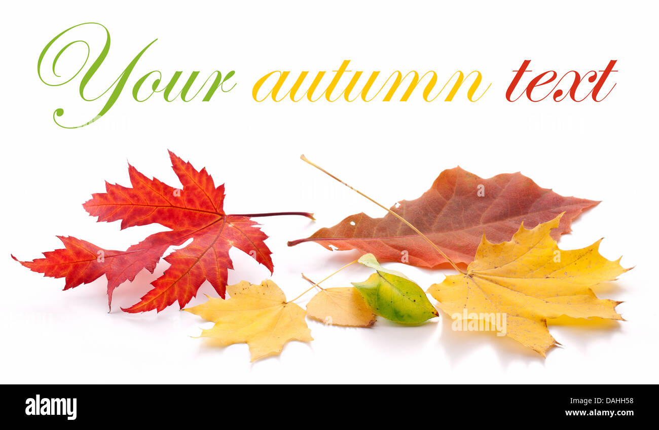 Foliage pattern background Cut Out Stock Images & Pictures - Alamy