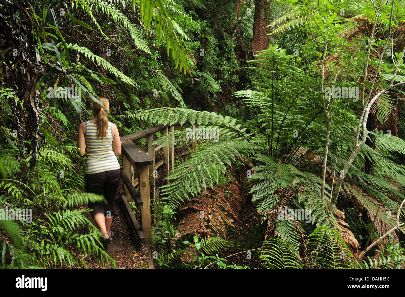 Big bush woman hi-res stock photography and images - Alamy
