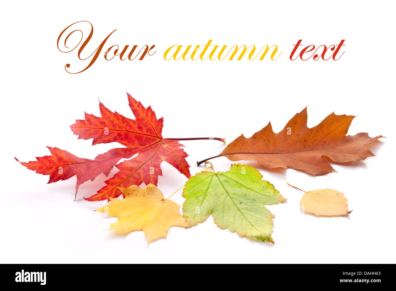 Foliage background Cut Out Stock Images & Pictures - Alamy