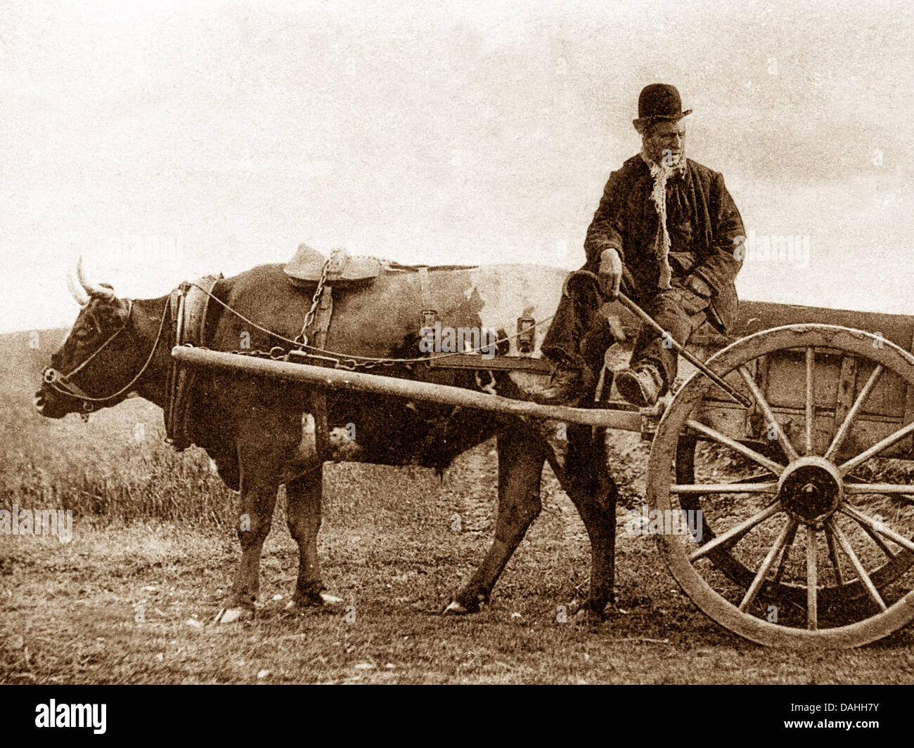 Bullock cart hi-res stock photography and images - Alamy