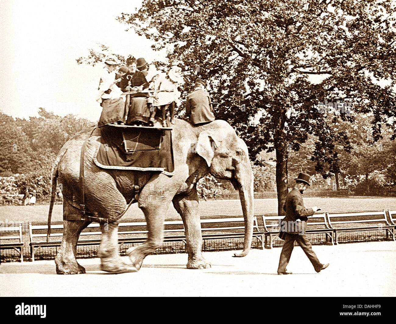 Victorian zoo hi-res stock photography and images - Alamy
