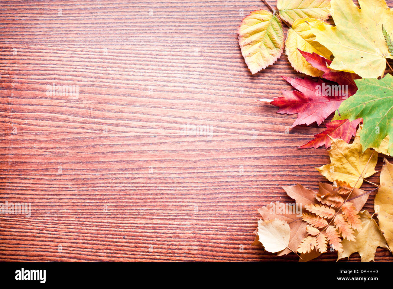 Autumn leaves on a wooden table Stock Photo - Alamy