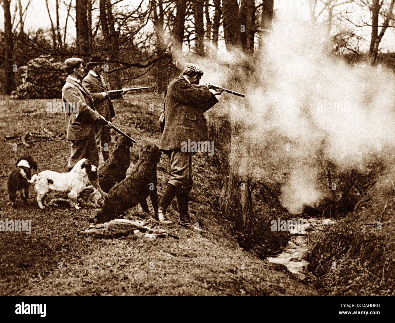 Shooting Rabbits High Resolution Stock Photography and Images - Alamy
