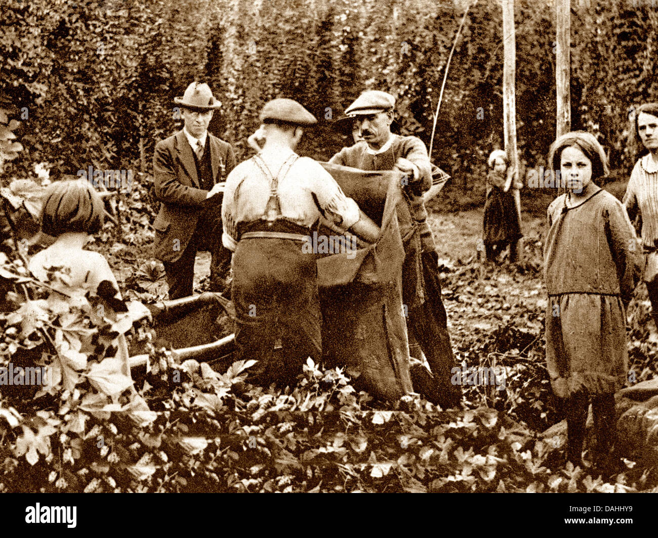 Hop Pickers High Resolution Stock Photography and Images - Alamy