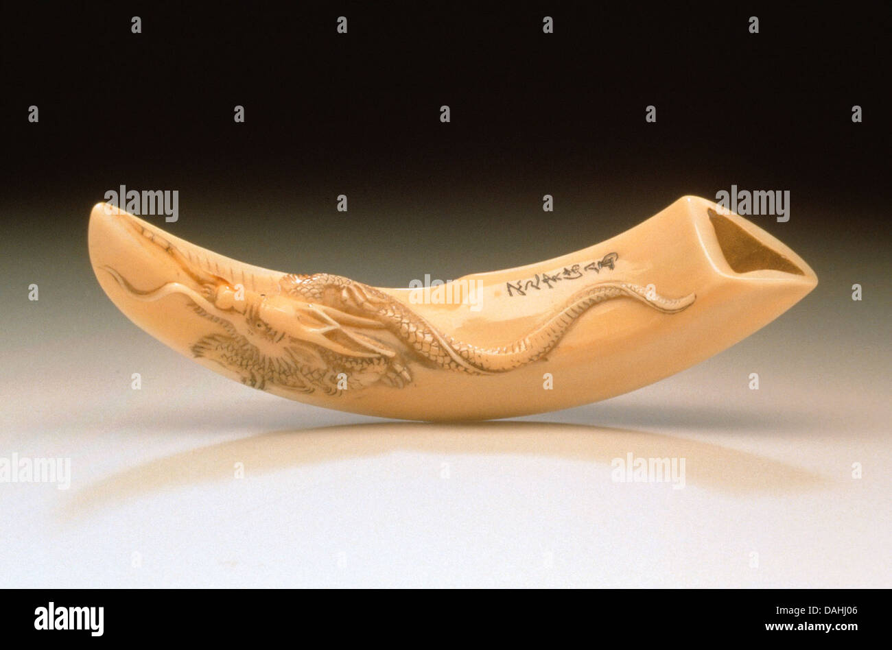 Dragon on boars tusk hi-res stock photography and images - Alamy