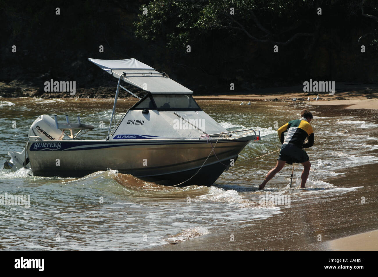 Man landing his outboard engine powered aluminium boat on sandy beach ...