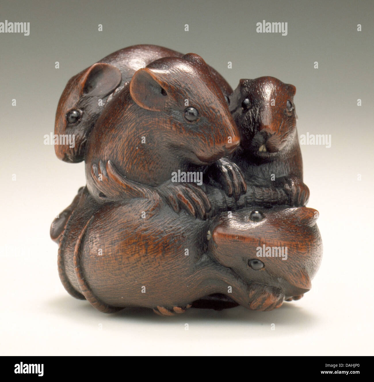 Five rat group hi-res stock photography and images - Alamy