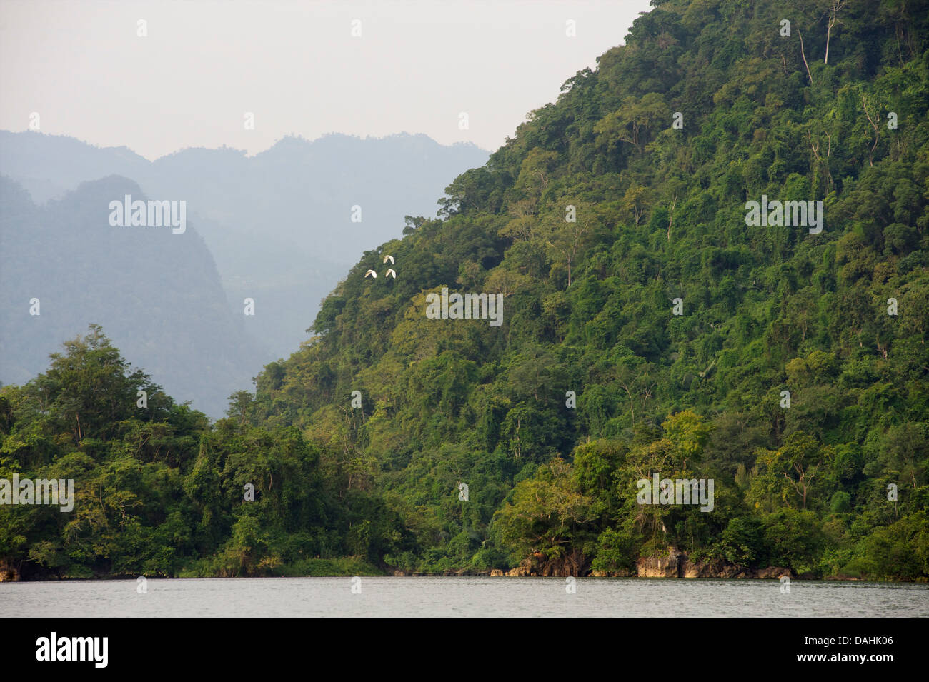 Ba Be lake is the largest natural lake in Vietnam. Nam Mau commune, Bac ...