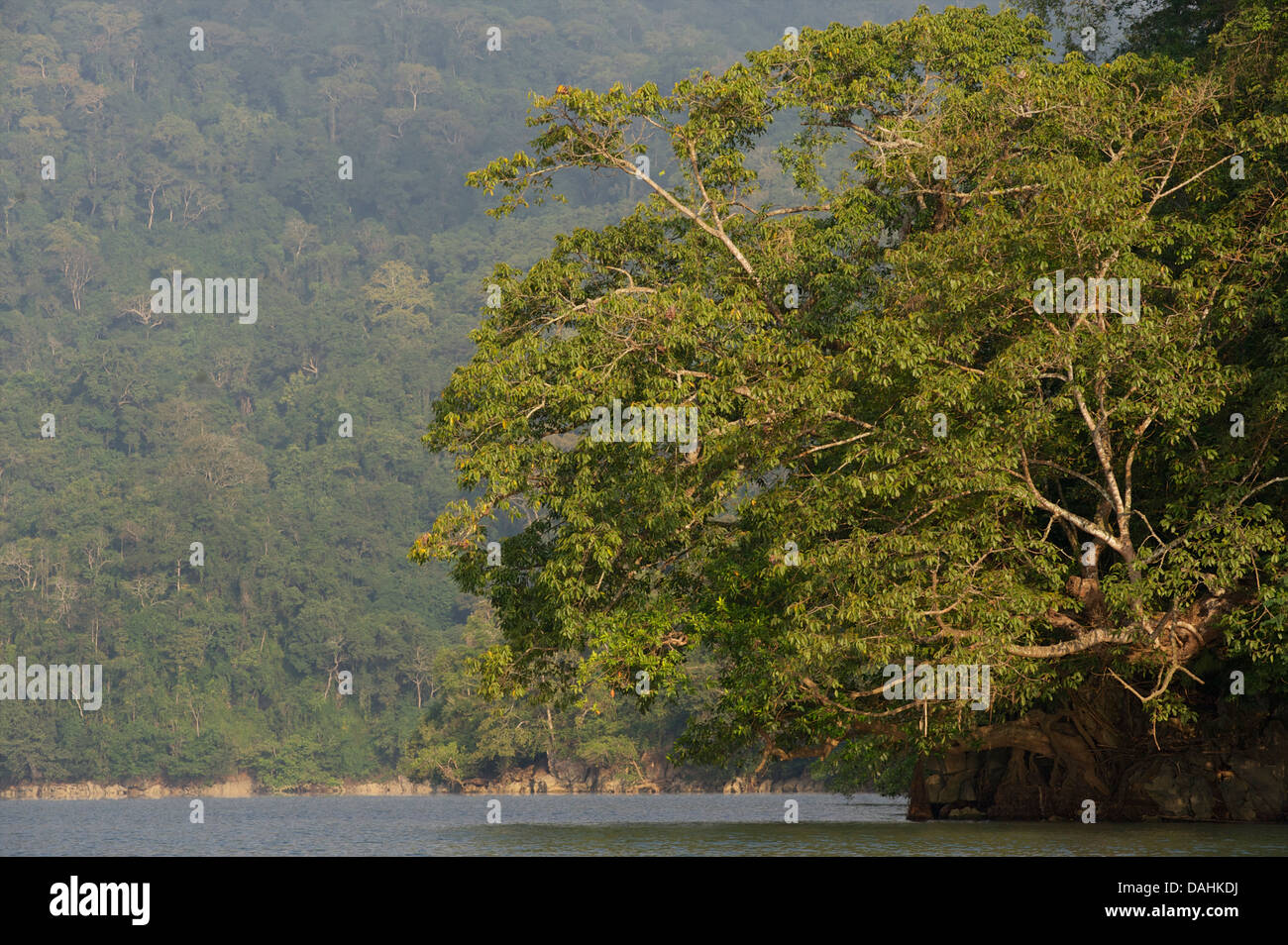 Ba Be lake is the largest natural lake in Vietnam. Nam Mau commune, Bac ...