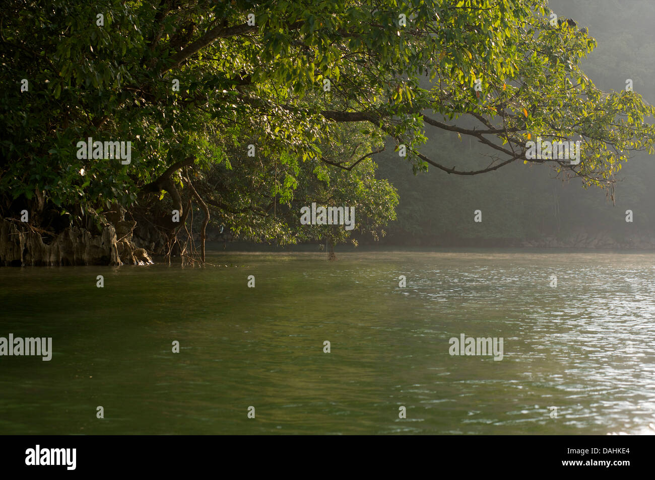 Ba Be lake is the largest natural lake in Vietnam. Nam Mau commune, Bac ...