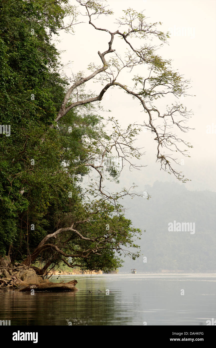 Ba Be lake is the largest natural lake in Vietnam. Nam Mau commune, Bac ...
