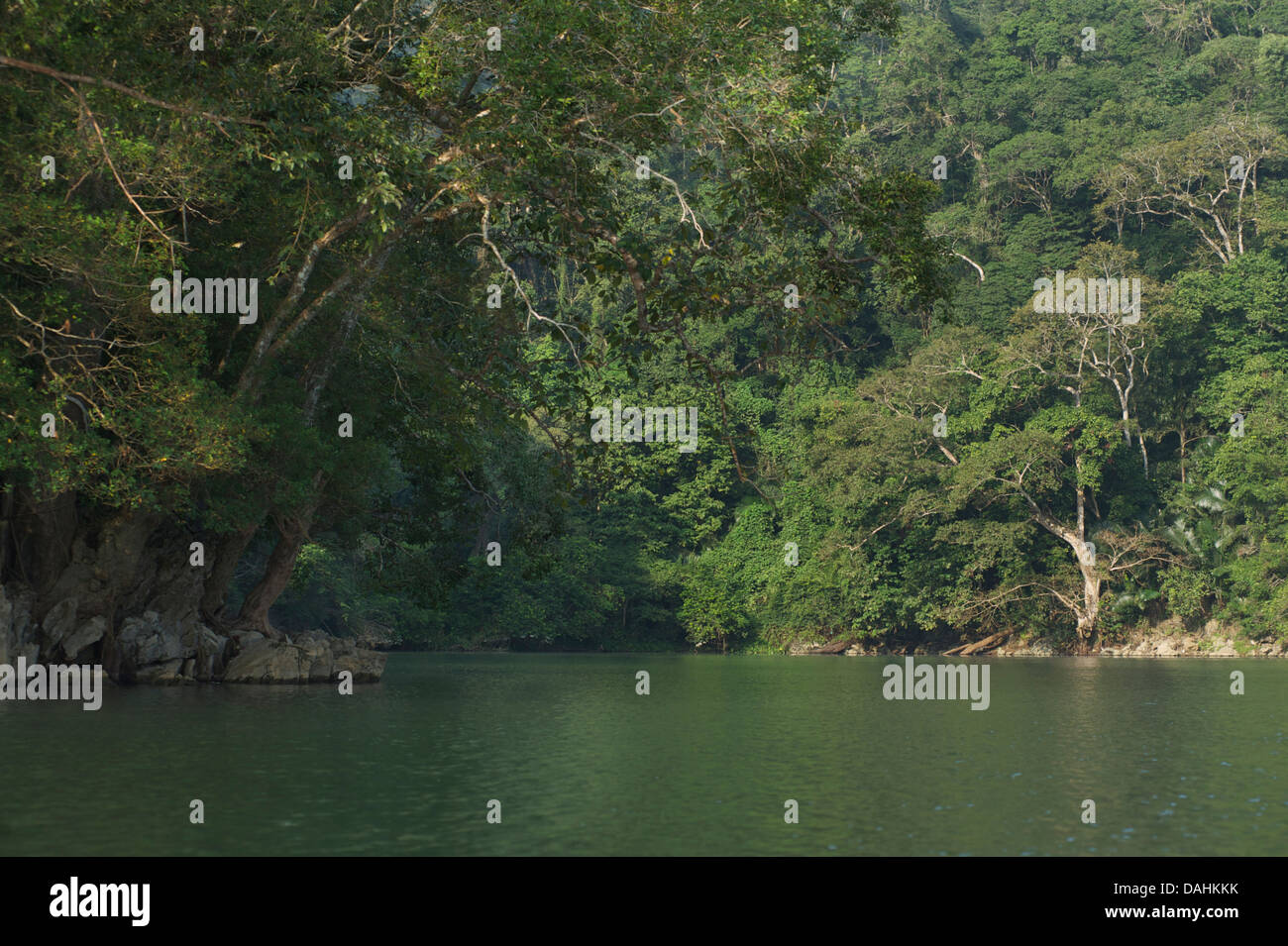 Ba Be lake is the largest natural lake in Vietnam. Nam Mau commune, Bac ...
