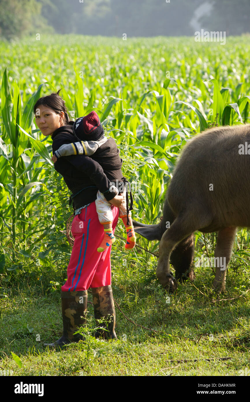 Vietnamese woman carrying child, with grazing water buffalo. Ba Be Lake ...