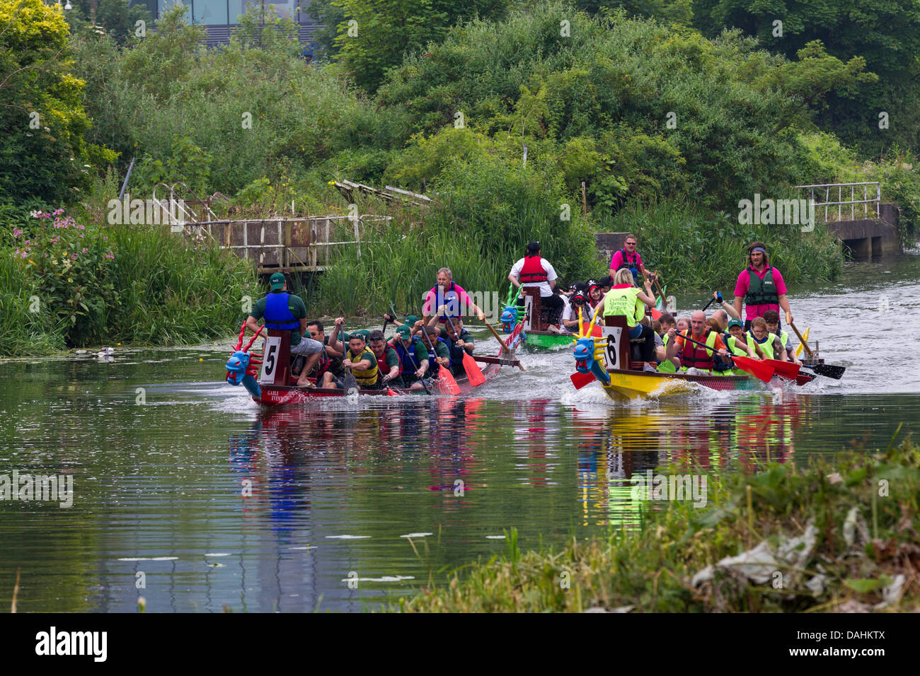 Northampton, River Nene, 24th July 2013. Dragon Boat Festival at ...