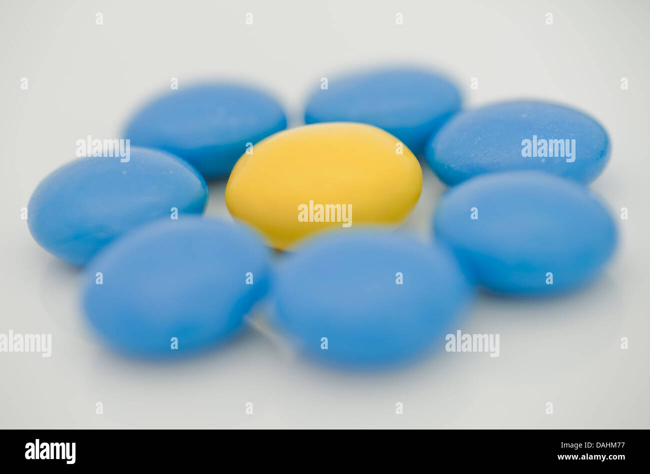 Close Up of Candy Flower Stock Photo - Alamy