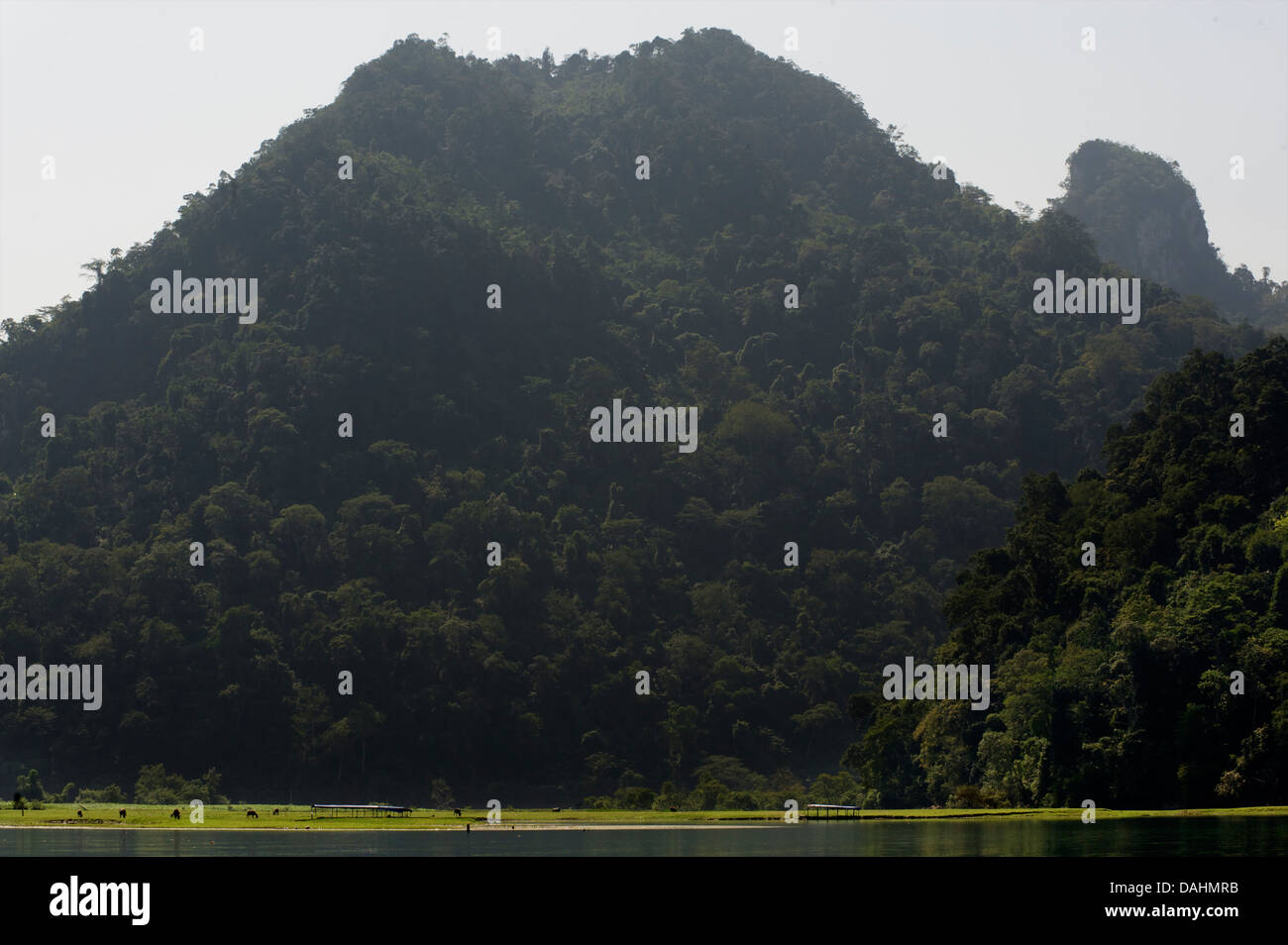 Ba Be lake is the largest natural lake in Vietnam. Nam Mau commune, Bac ...