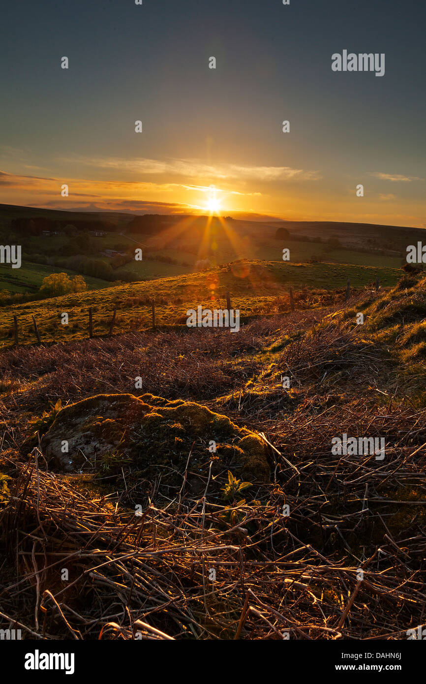 Welsh hillside sunset Stock Photo - Alamy
