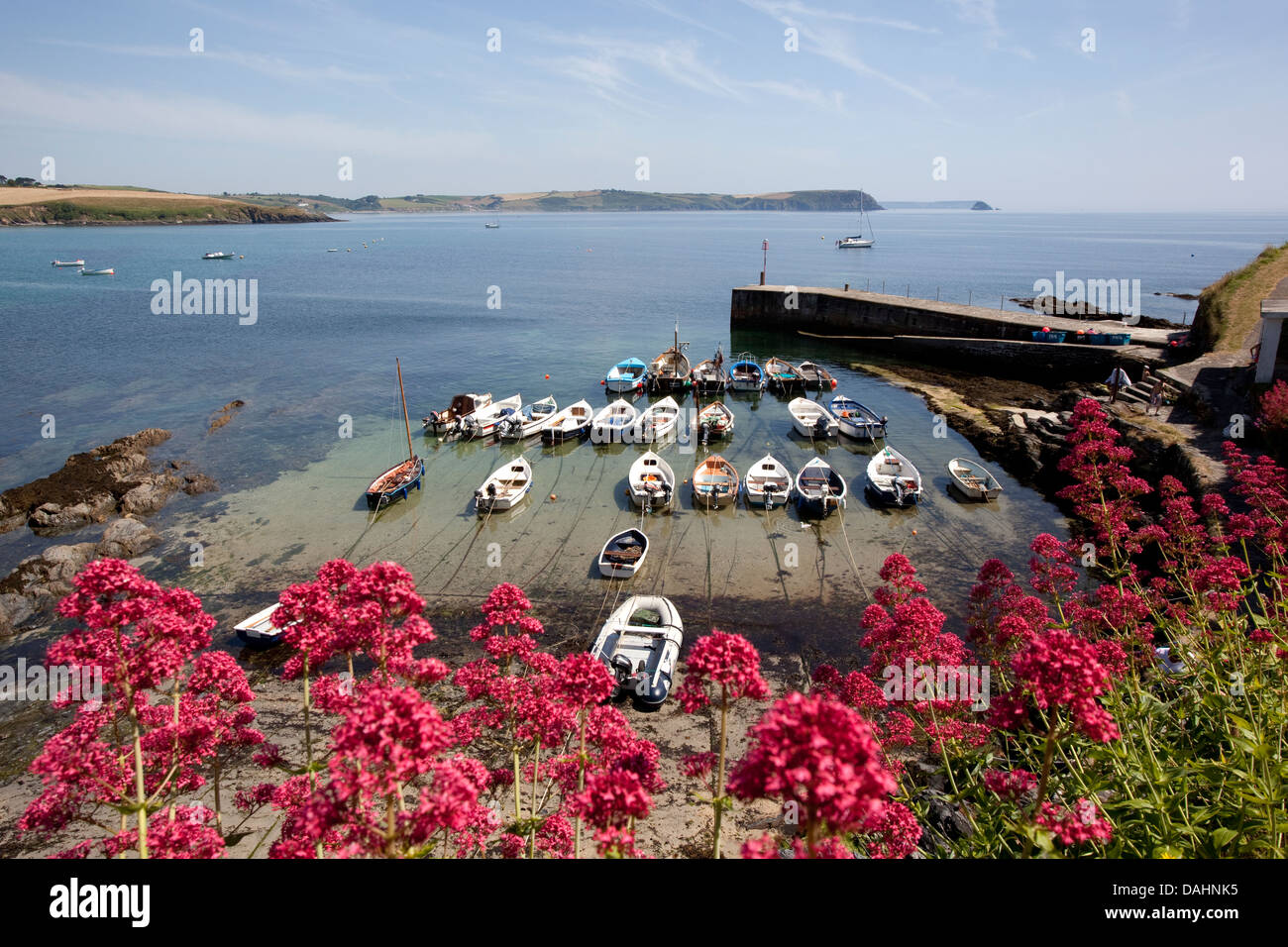 Colourful flowers with the harbour at Portscatho, Cornwall Stock Photo ...