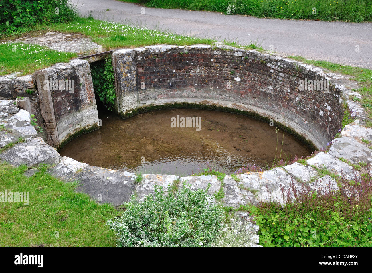 A view of the historic sheepwash at Martinstown Dorset uk Stock Photo ...