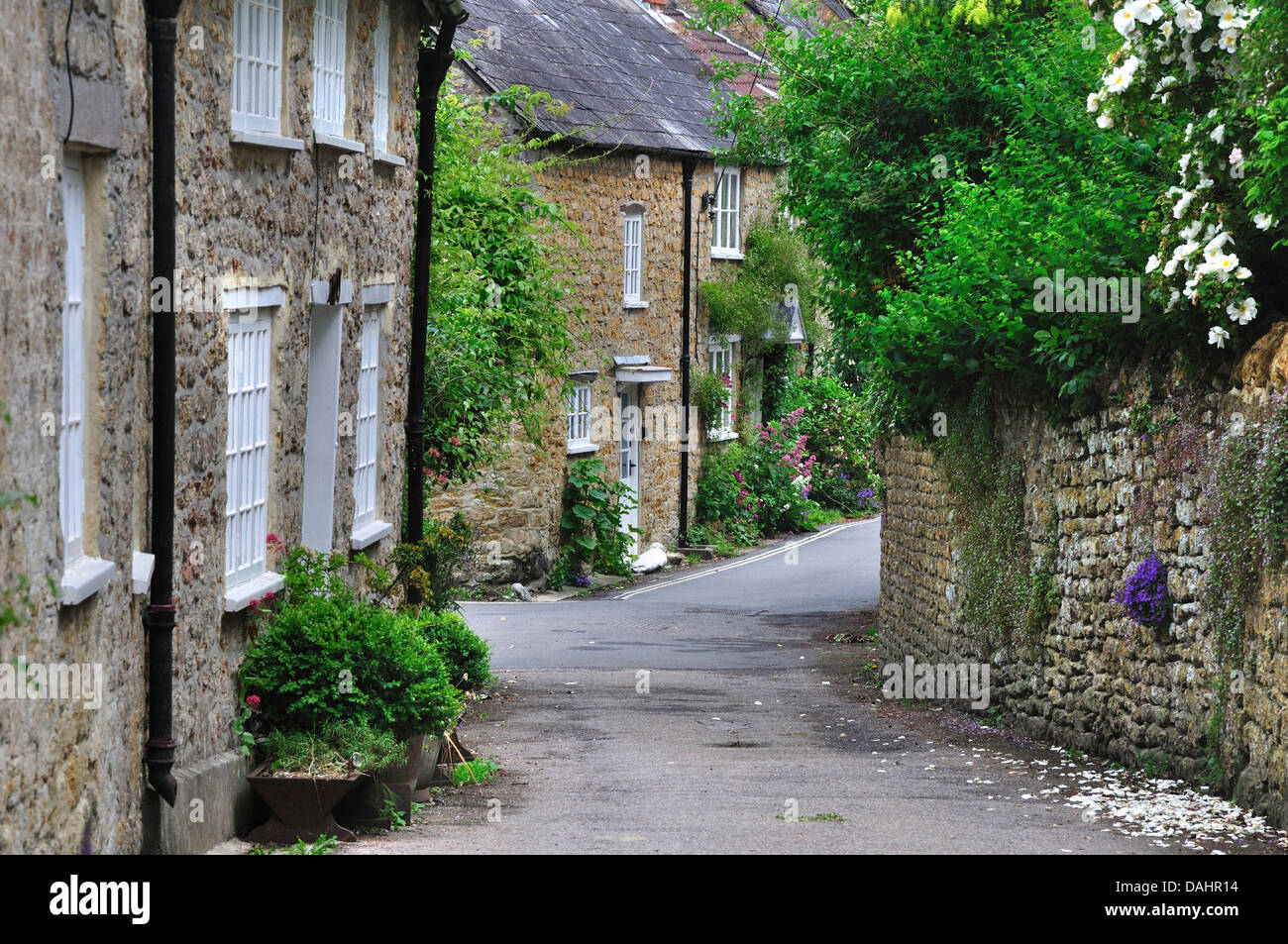 Beaminster, dorset hi-res stock photography and images - Alamy