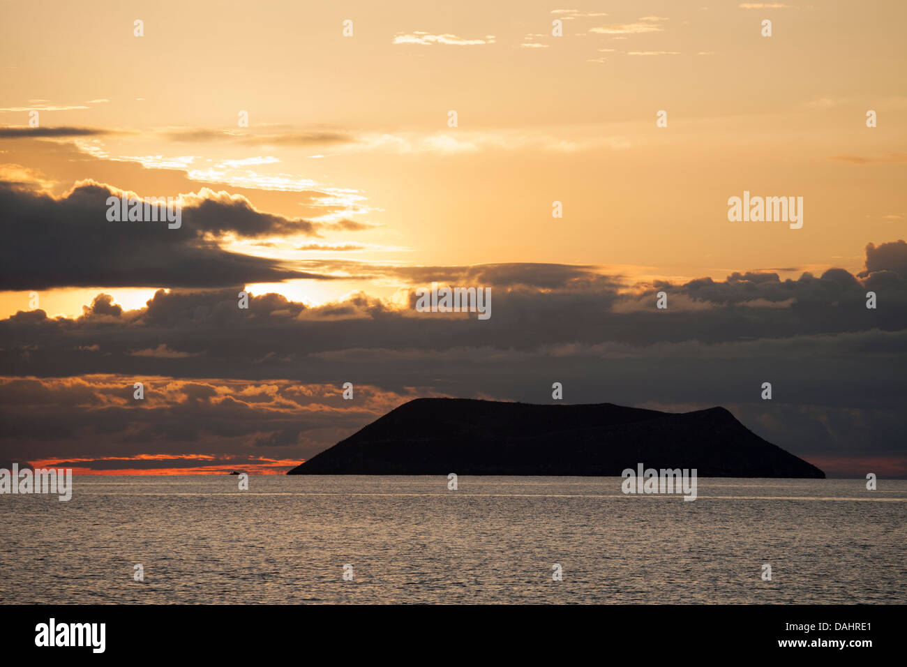Daphne Major High Resolution Stock Photography and Images - Alamy