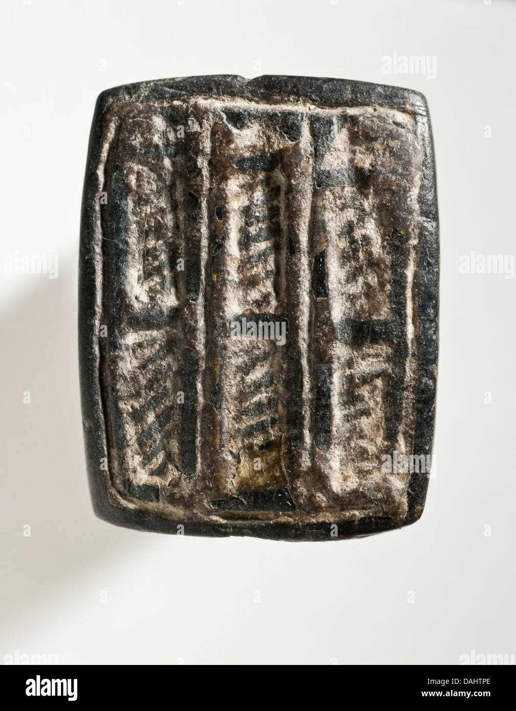 Showcases detailed markings hi-res stock photography and images - Alamy