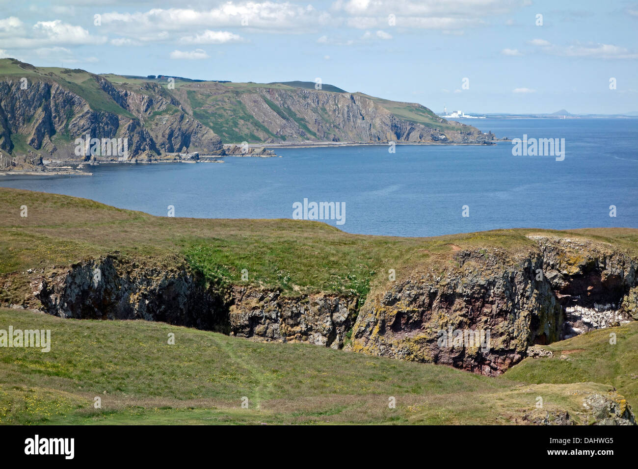 Sea cliffs in St Abb's Head National Nature Reserve between the ...