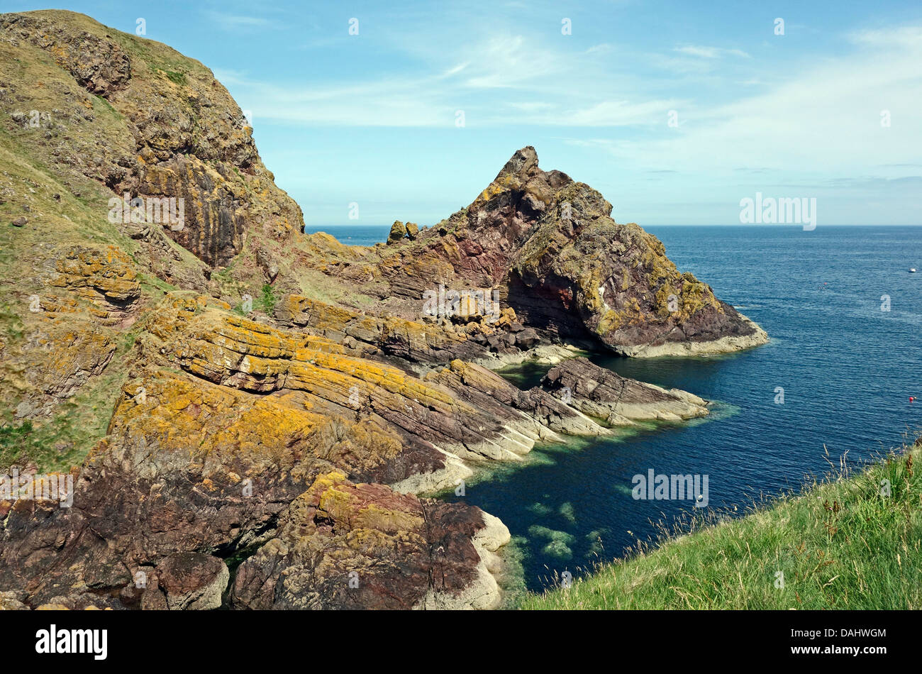 Sea cliffs in St Abb's Head National Nature Reserve between the ...