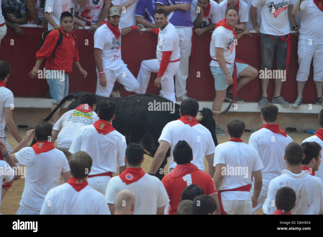 Fiesta de san fermin pamplona bull running fighting bull hi-res stock ...
