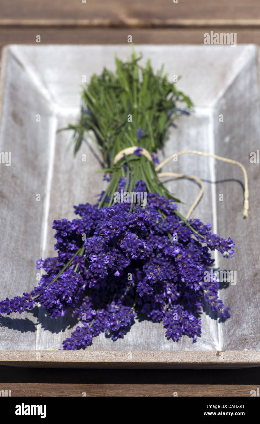 Lavender tied in bunches hi-res stock photography and images - Alamy