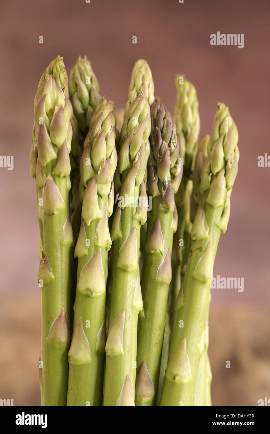 Asparagus vegetable vegetables spear spears healthy food hi-res stock ...