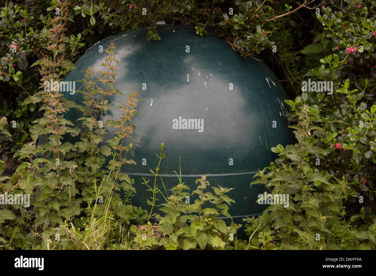 Domestic oil tank overgrown by weeds and hedge Stock Photo - Alamy