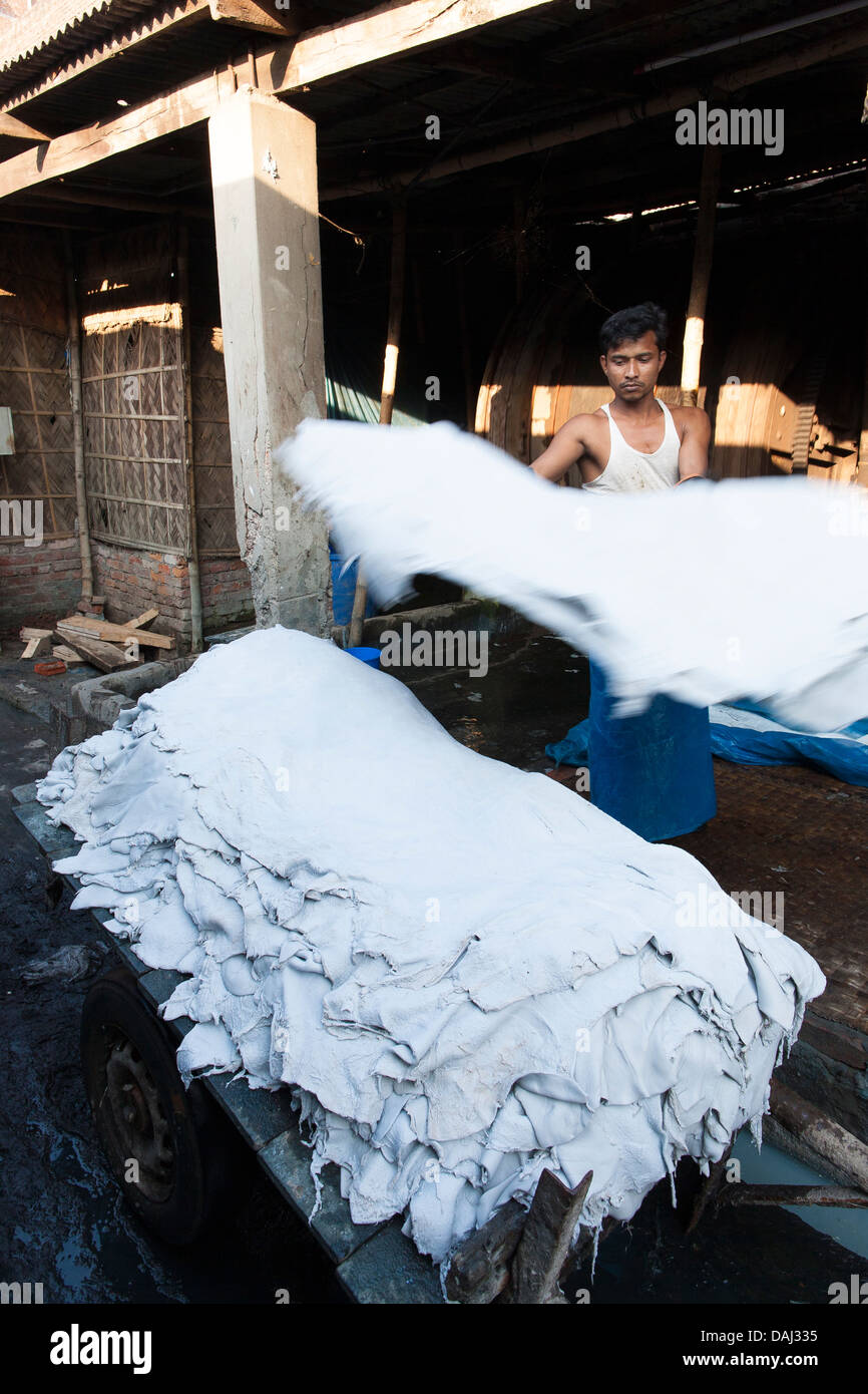 Tannery liming hi-res stock photography and images - Alamy