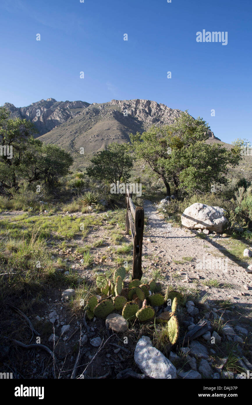 Guadalupe mountains national park hi-res stock photography and images ...