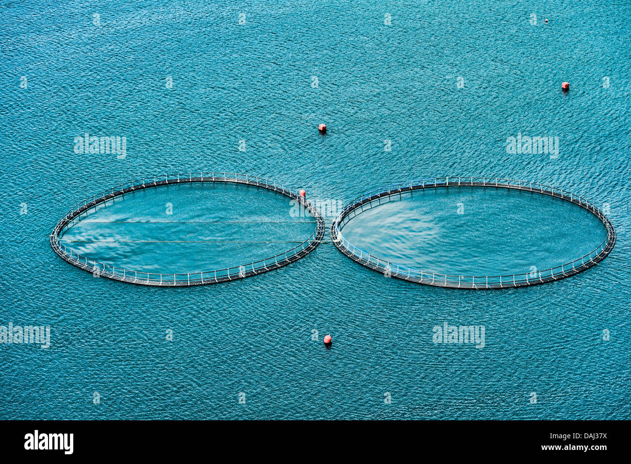 Offshore fish farming hi-res stock photography and images - Alamy