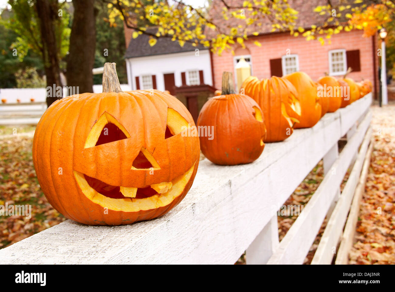 Carved pumpkins in Old Salem, North Carolina, NC, during Halloween ...