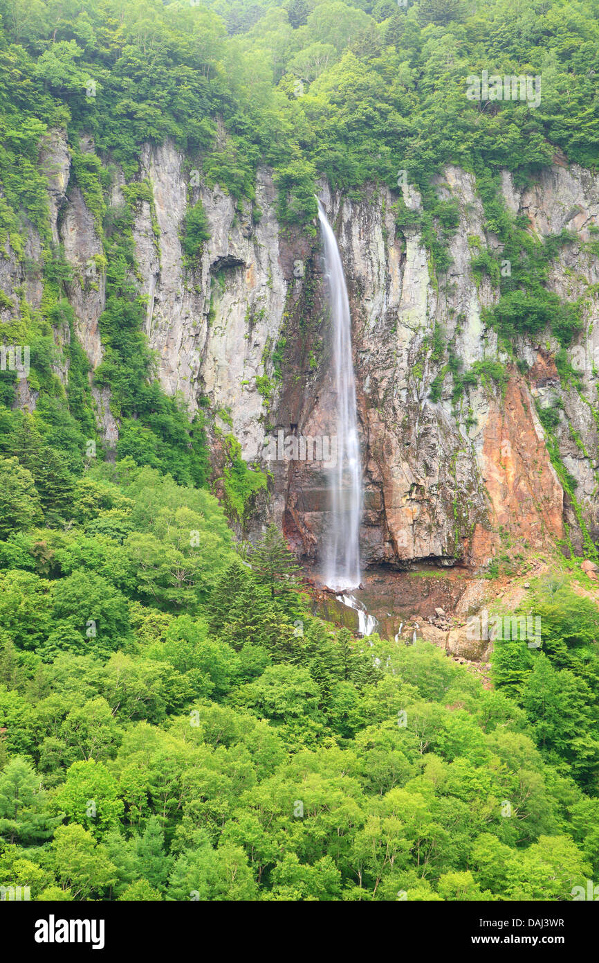 Fresh green and waterfall, Name is Yonako falls, Nagano, Japan Stock ...