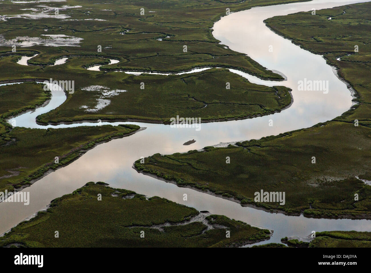 Charleston sc waterfront marsh hi-res stock photography and images - Alamy