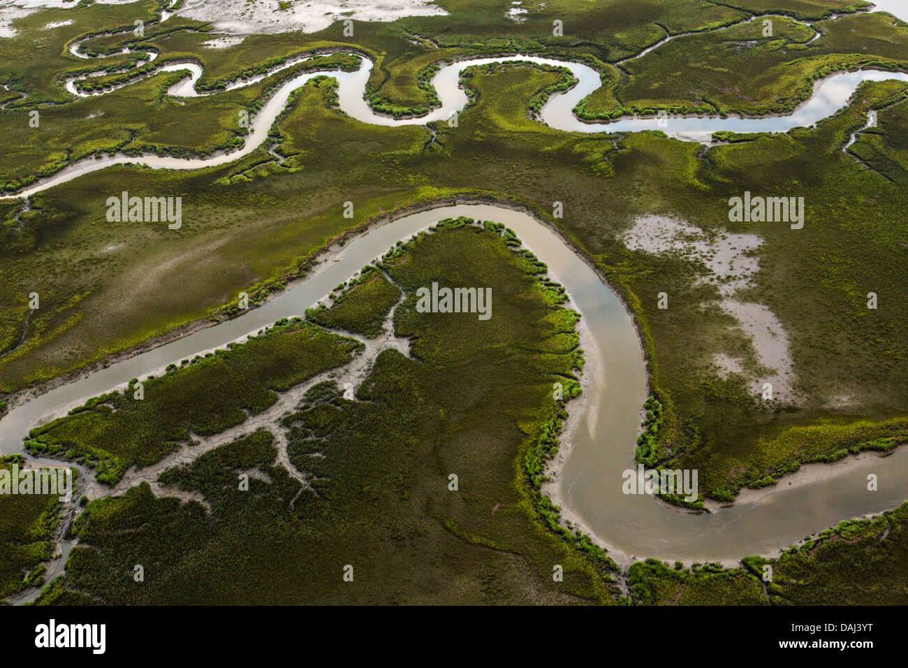 Aerial view of the salt marsh in Charleston, SC Stock Photo - Alamy