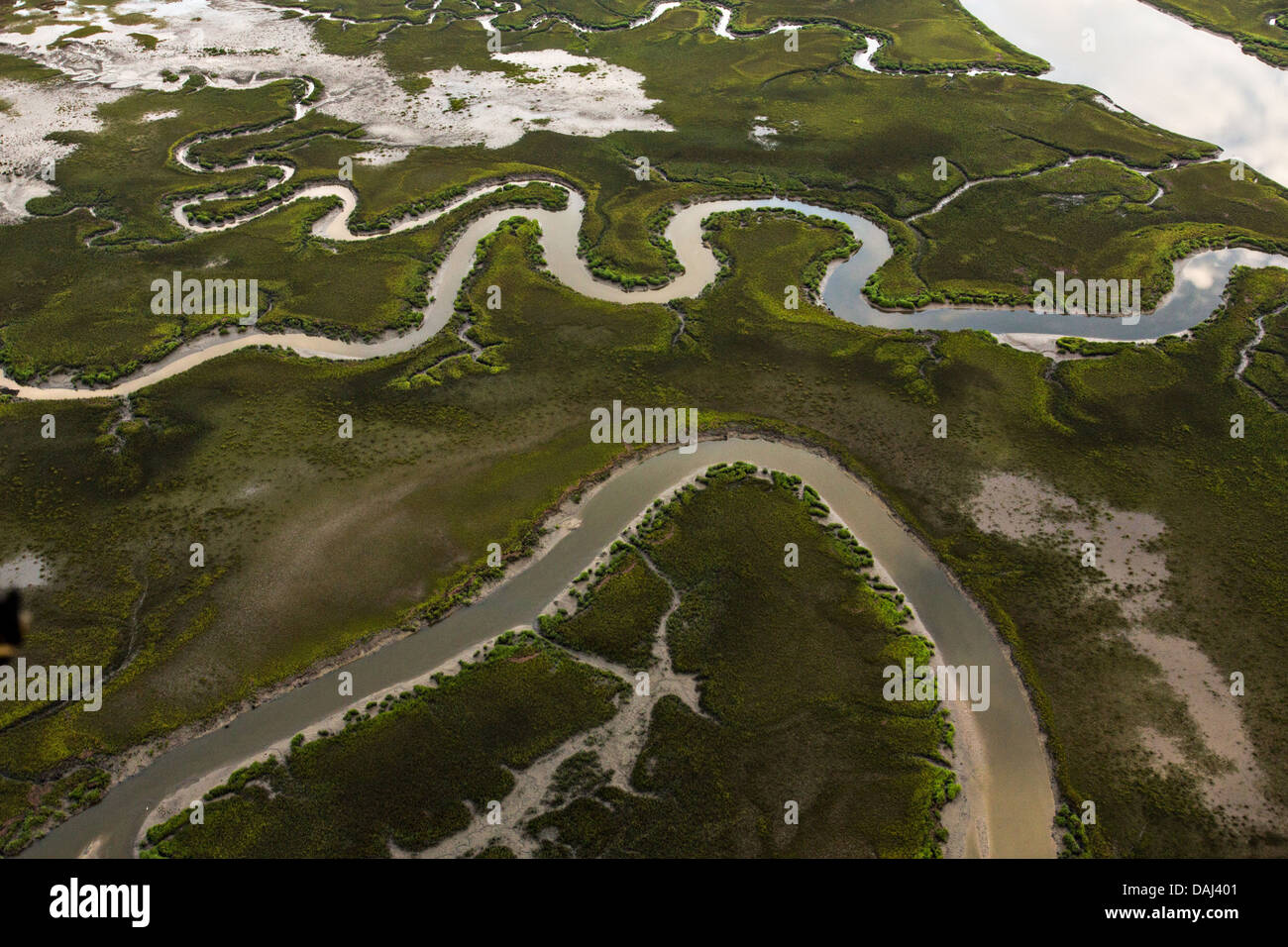 Aerial view of the salt marsh in Charleston, SC Stock Photo - Alamy