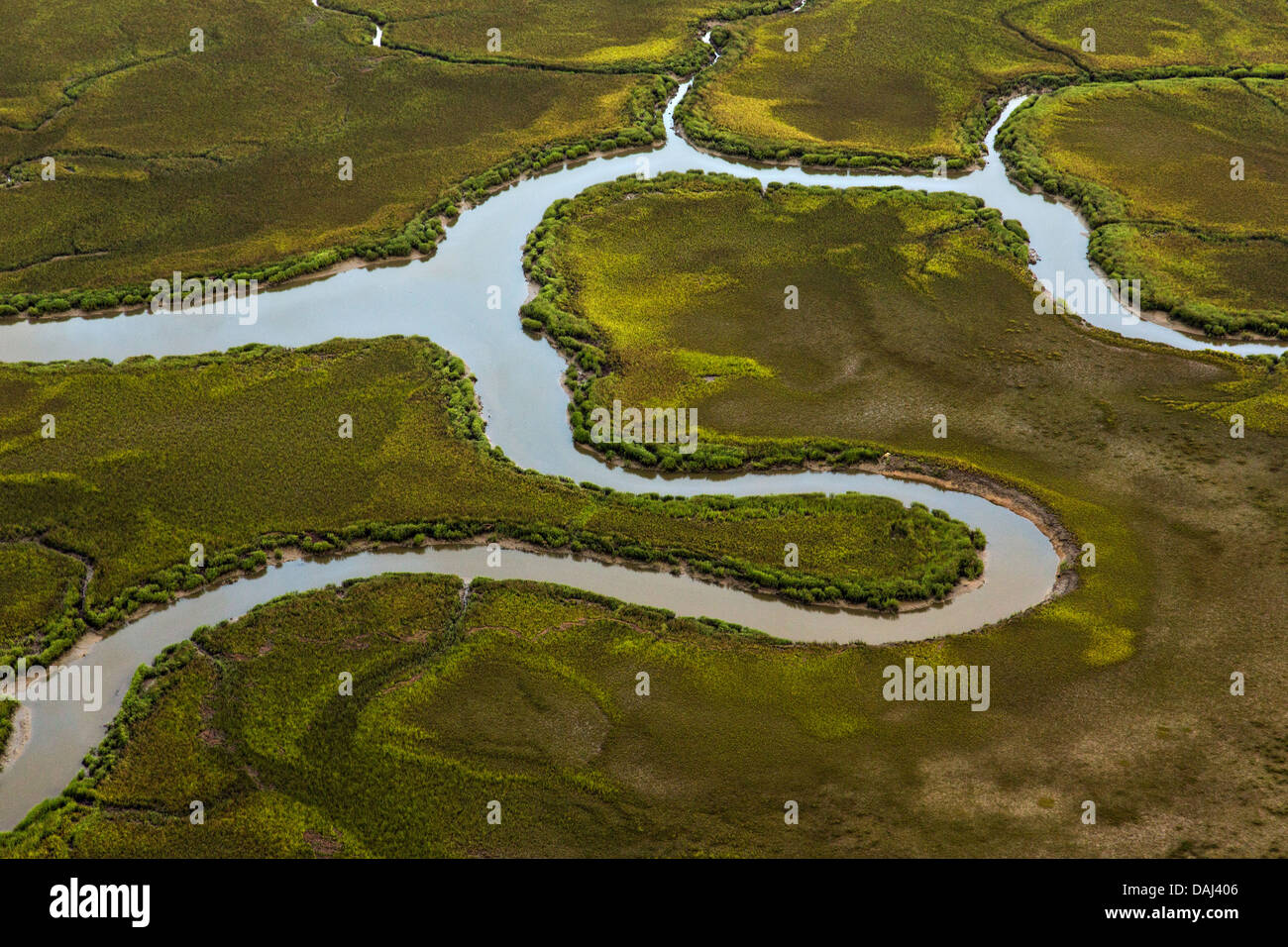 Aerial view of the salt marsh in Charleston, SC Stock Photo - Alamy