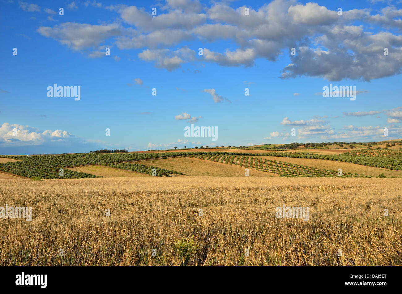 Spanish country landscape in spring Stock Photo - Alamy