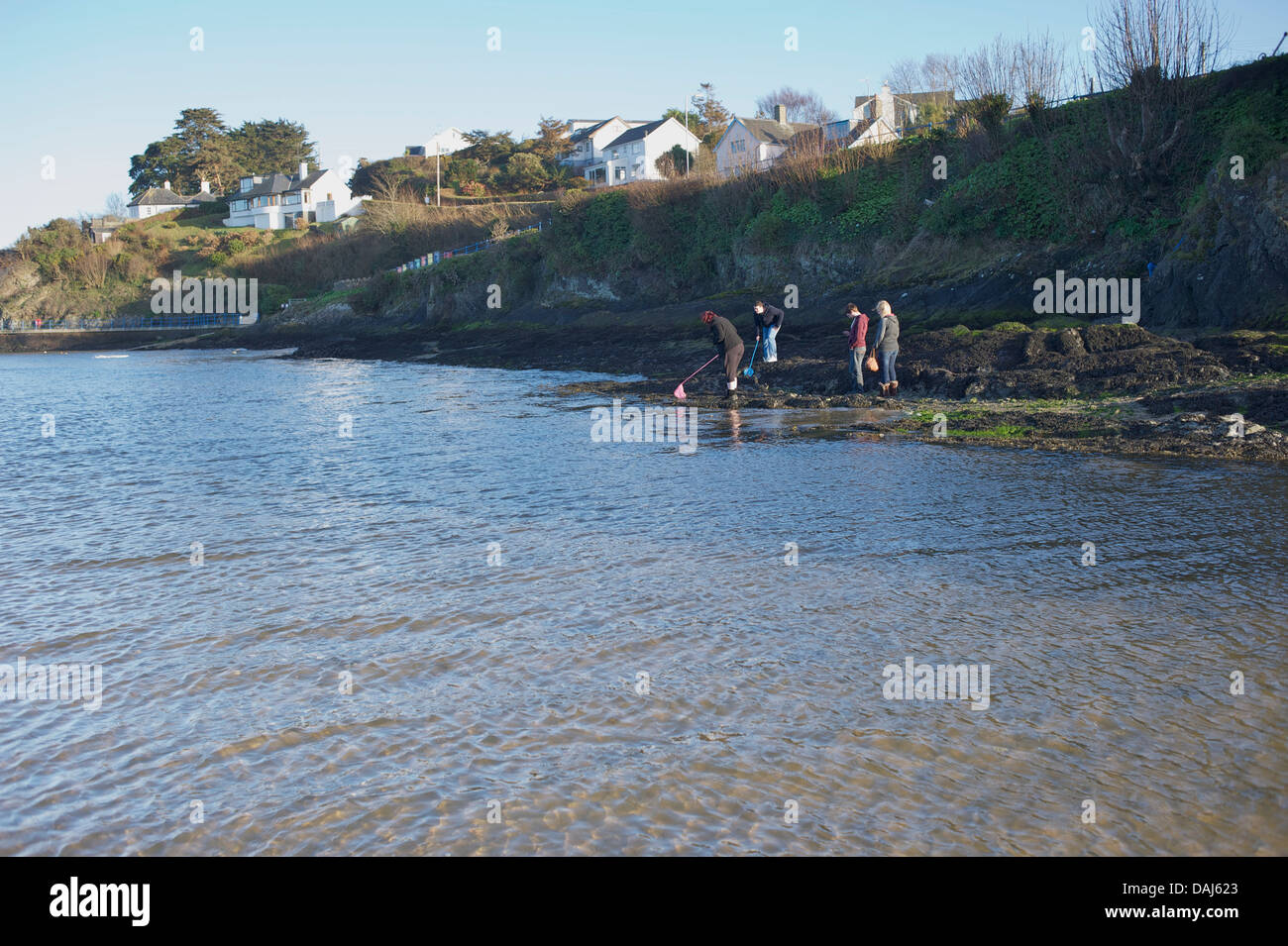 Rock pool fishing Abersoch Harbour, North Wales Stock Photo - Alamy