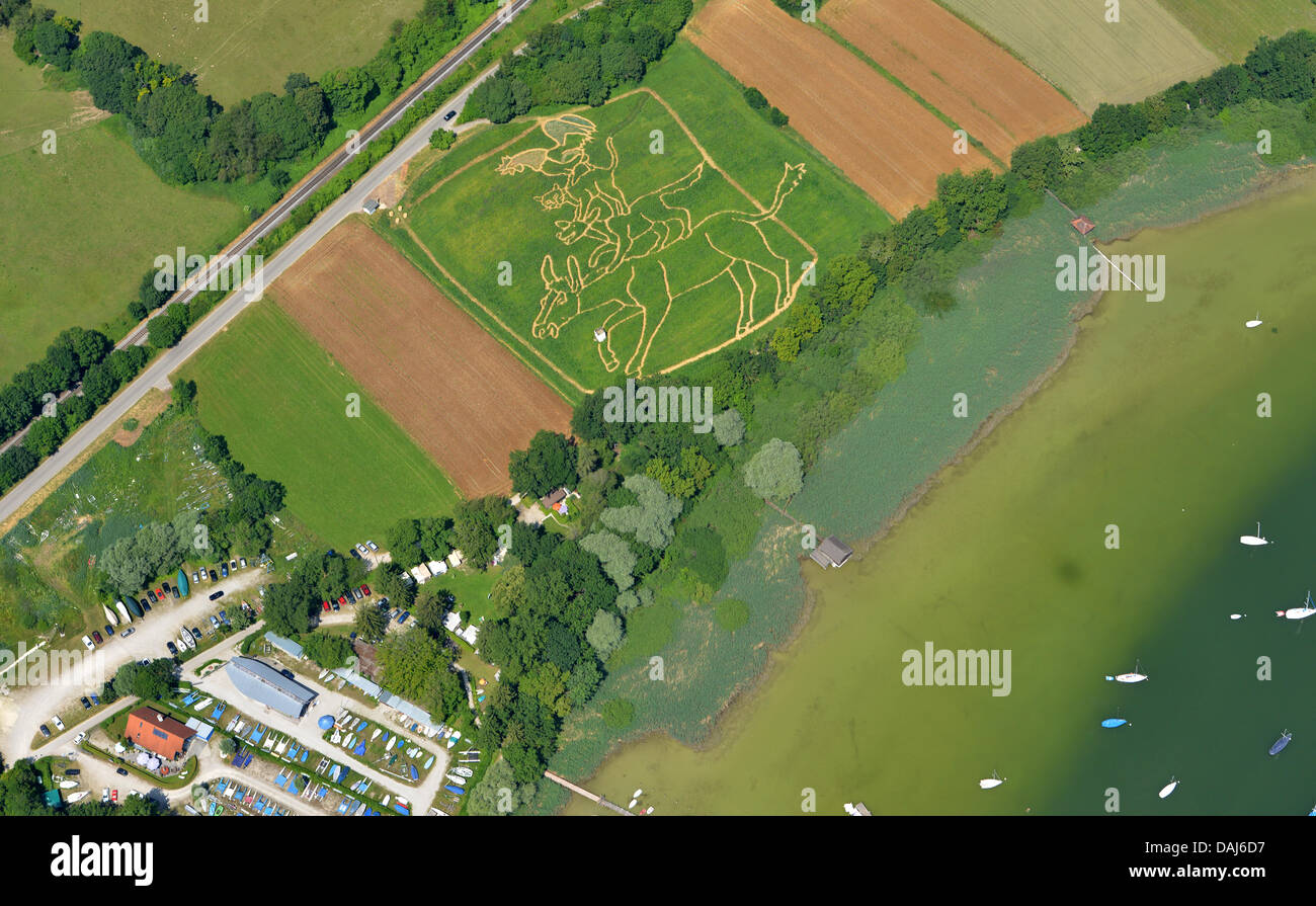 The aerial photo shows a worked on field with a mix of corn, hemp ...