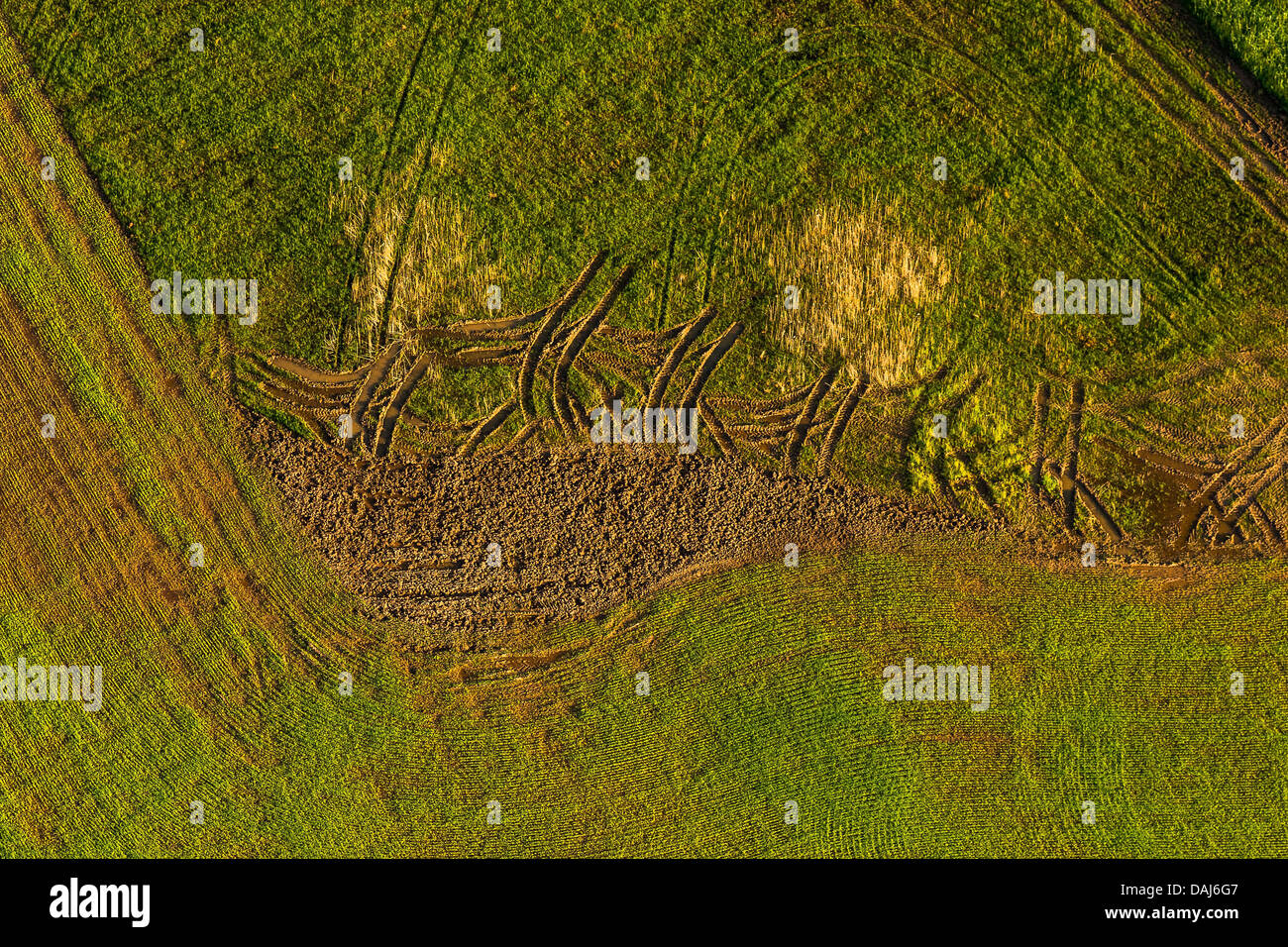 field, furrow, furrows, aerial view Stock Photo - Alamy