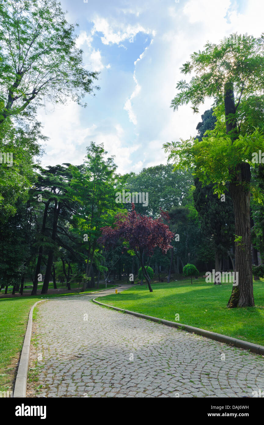 Cobblestone garden path hi-res stock photography and images - Alamy