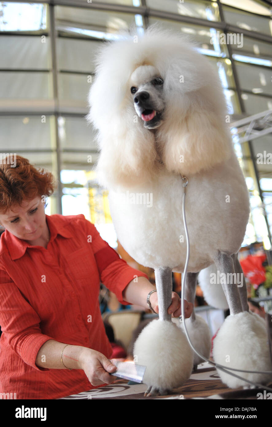 Andrea Bendel poses with her grande poodle Vicky at the International ...