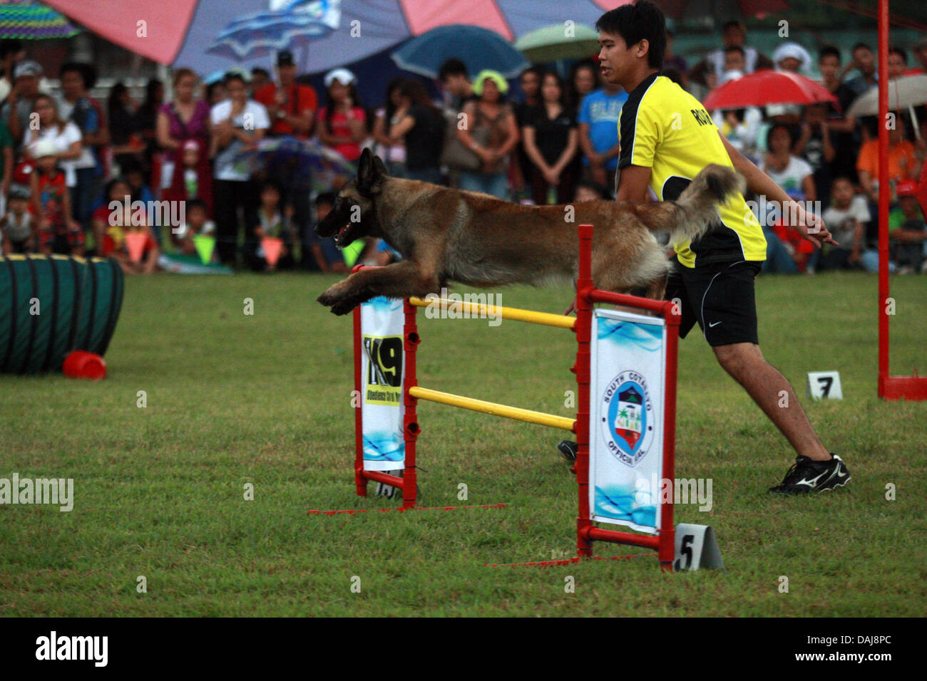 Jul 13, 2013 - Koronadal, Philippines - A dog takes part in the 21st ...
